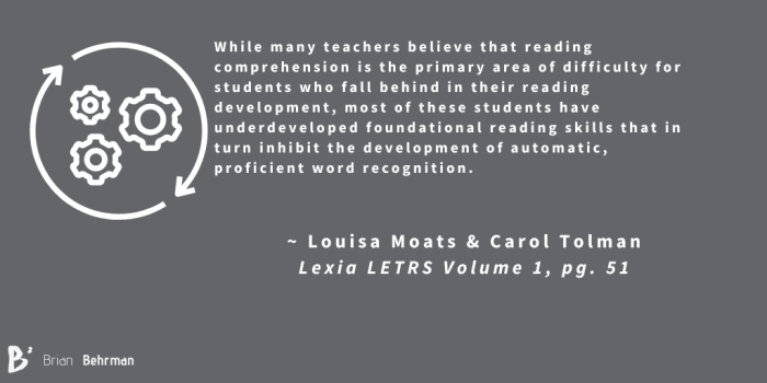 Foundational Reading Skills – The View from 518